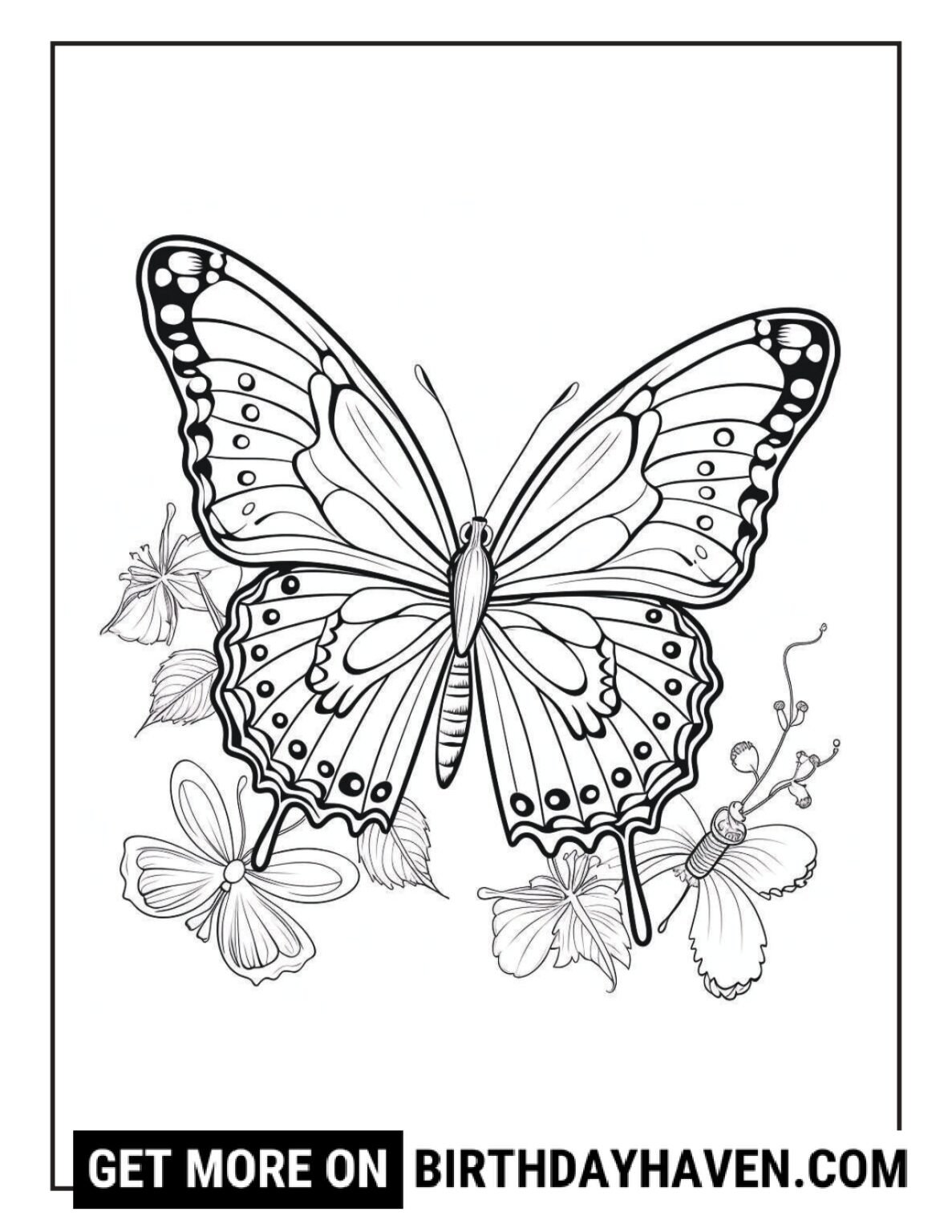 Cute Free Printable Butterfly Coloring Pages for All Ages - BirthdayHaven